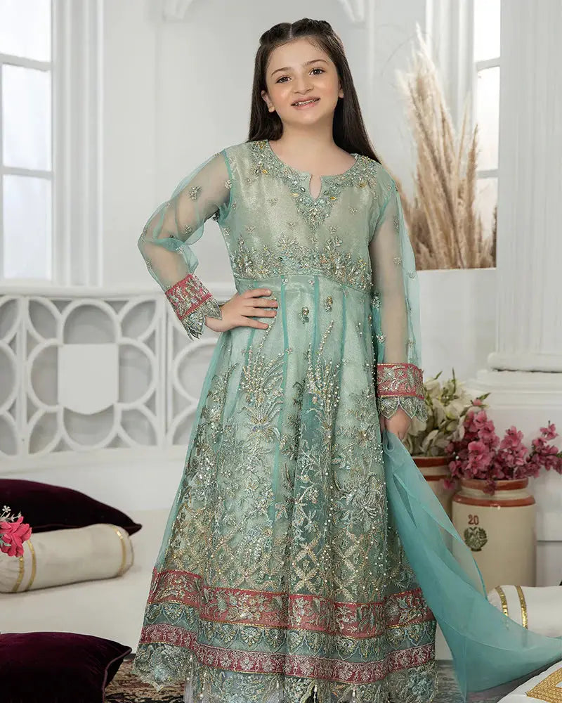 Pakistani Girl Dress - Elegant Traditional Wear | RR-3484-07 – Rangreza